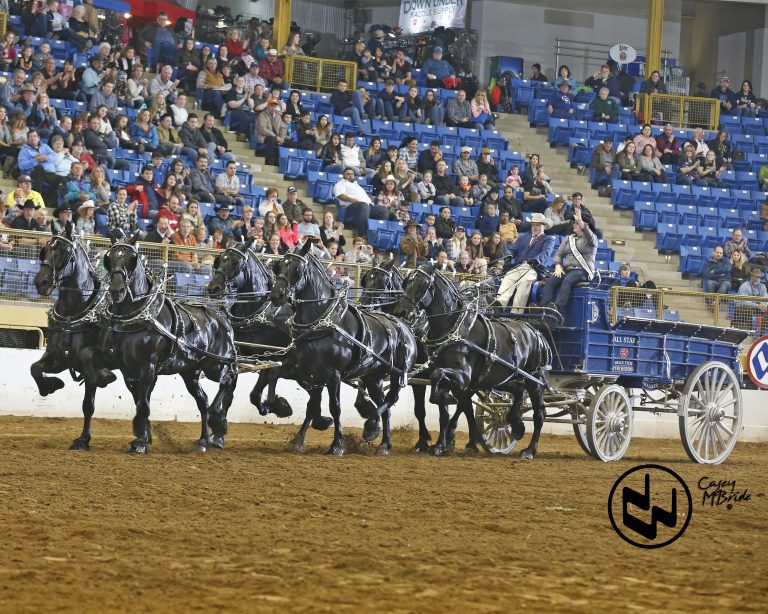 HORSE SHOWS | National Western Stock Show and Rodeo