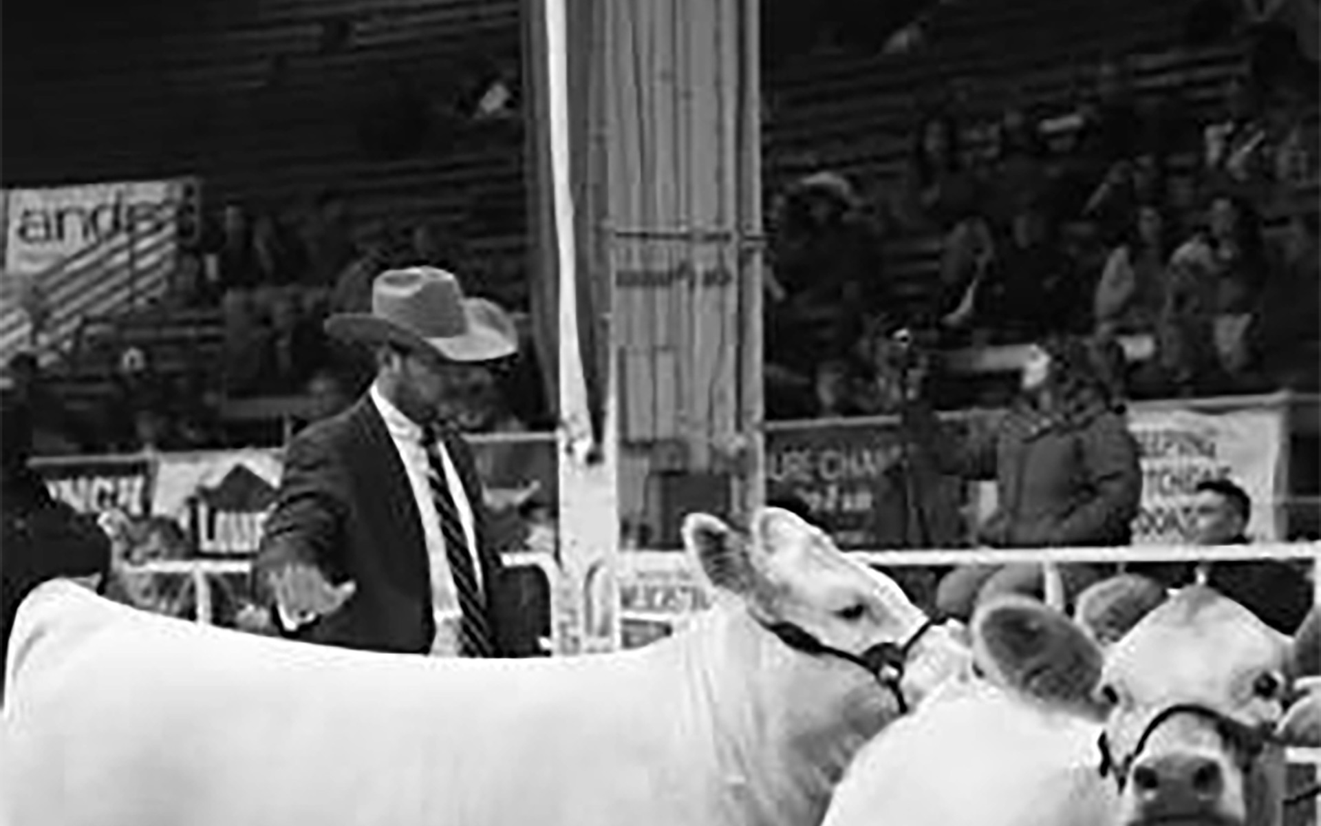 The Many Hats of Dr. Aaron Cooper - National Western Stock Show