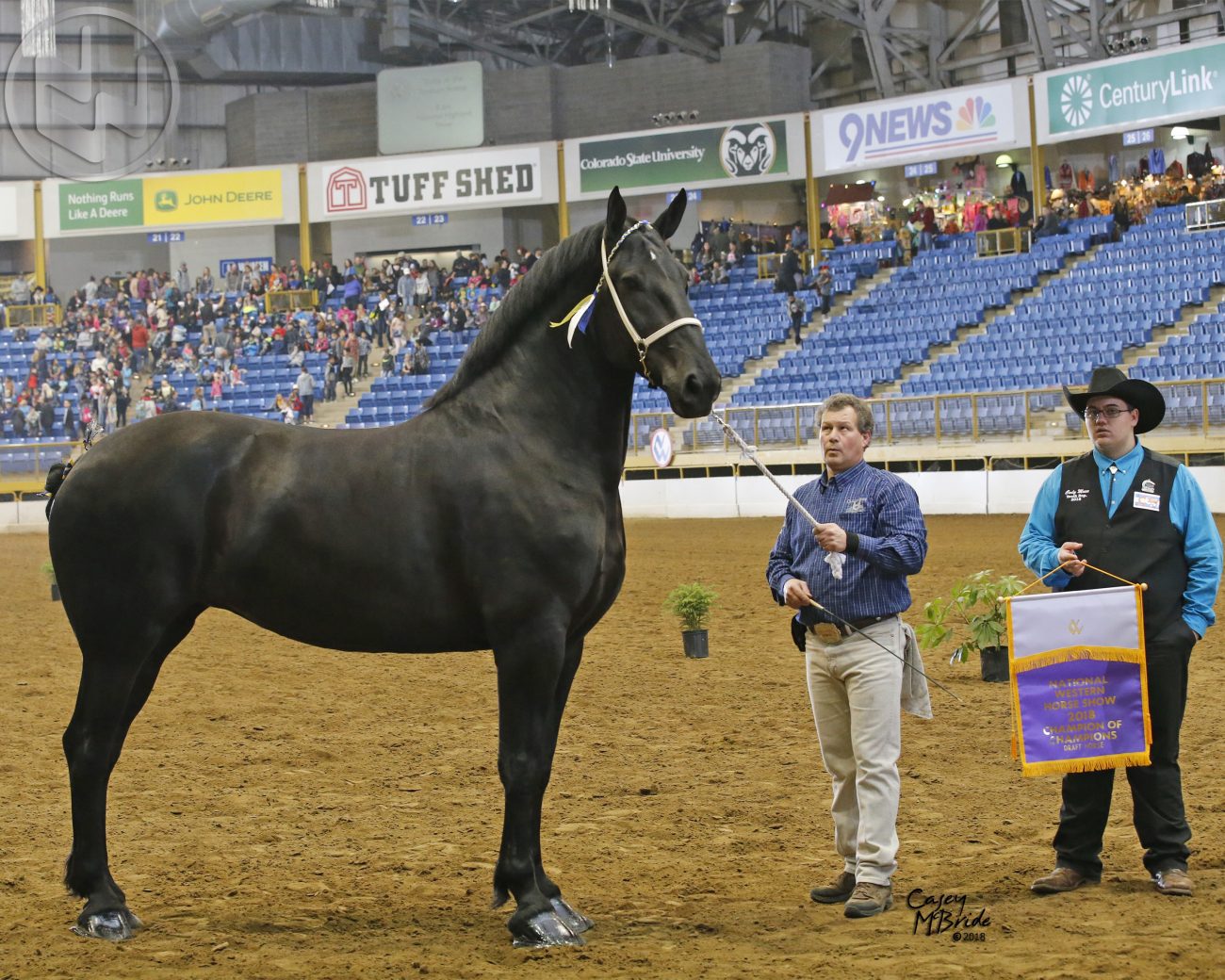 HORSE SHOWS | National Western Stock Show and Rodeo