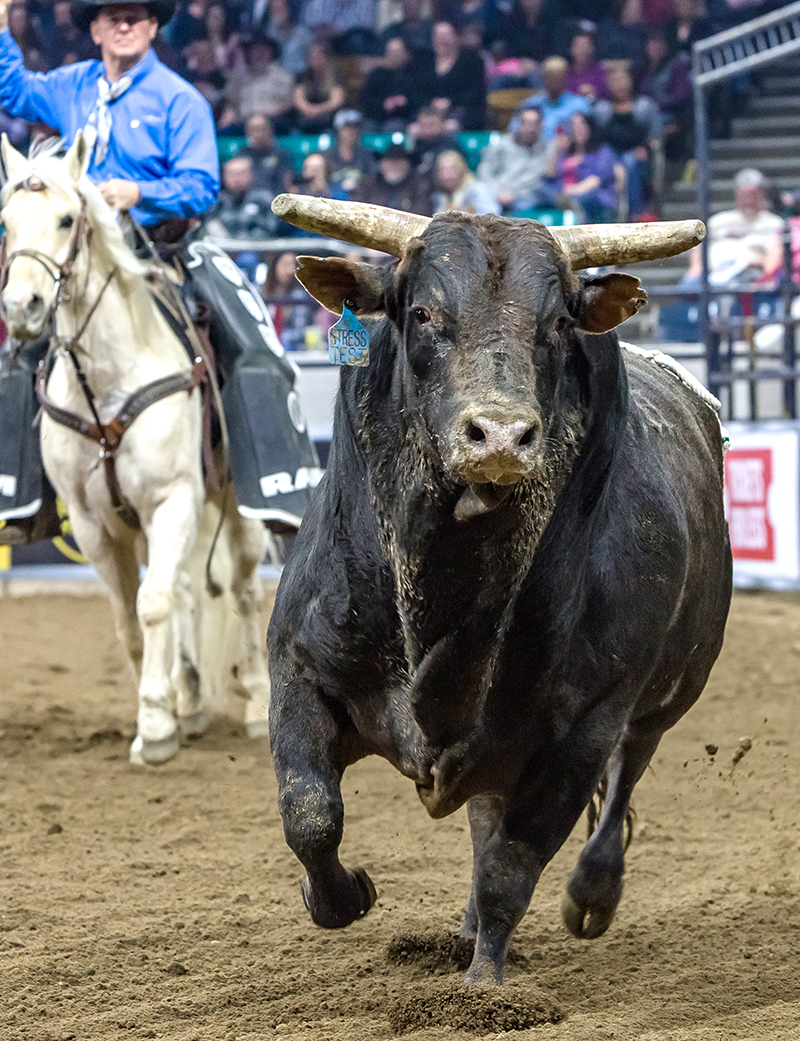 Schedule of Events | National Western Stock Show