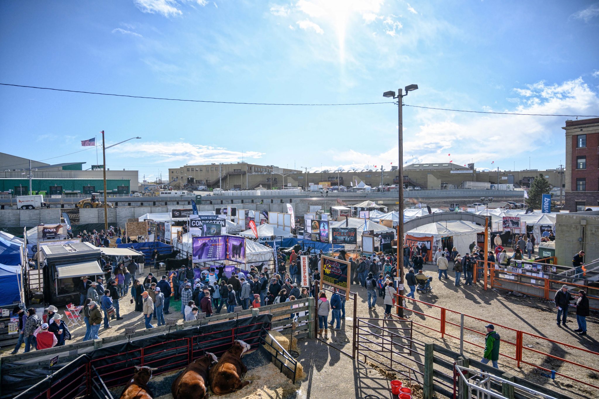 Livestock Shows - National Western Stock Show