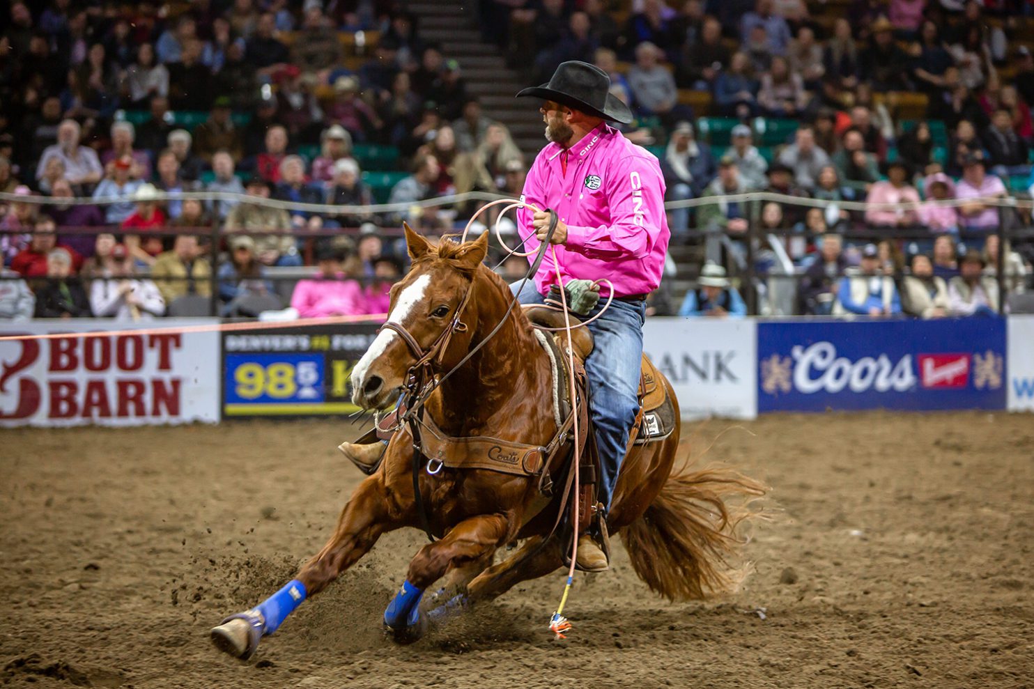 National Western Stock Show | There's No Place Like Stock Show, Denver ...