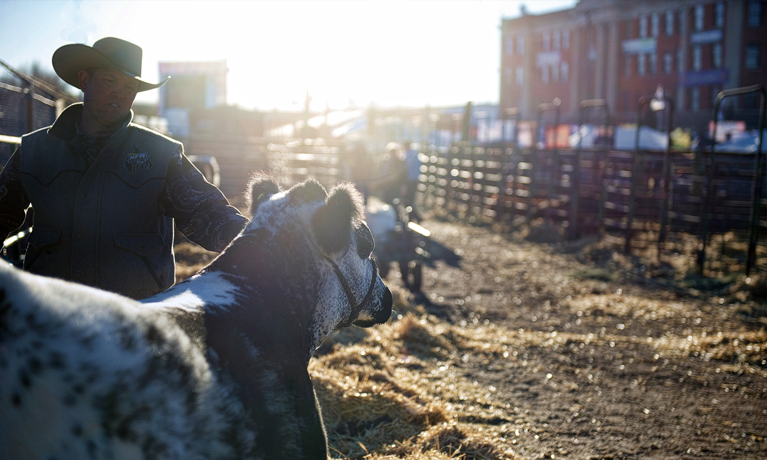 National Western Stock Show | The Best 16 Days In January