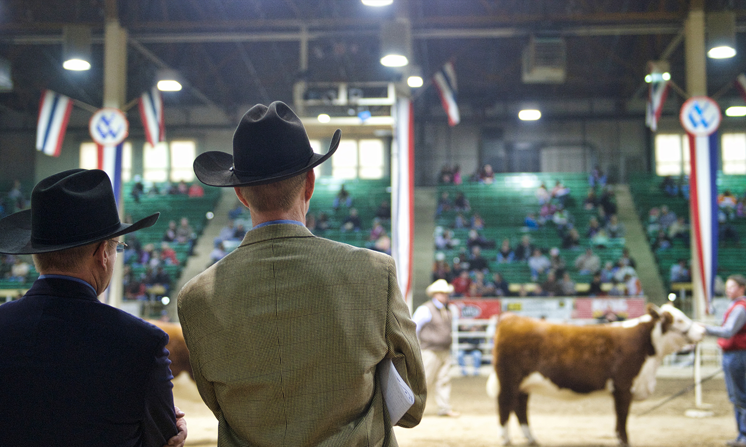National Western Stock Show | The Best 16 Days In January