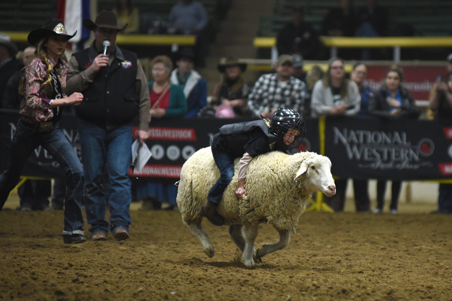 Mutton Bustin' - National Western Stock Show