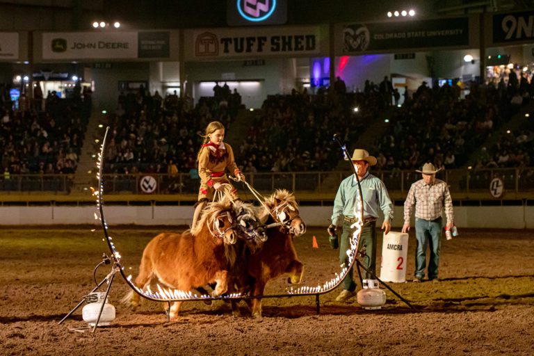 16 Days of Action - Packed Events - National Western Stock Show