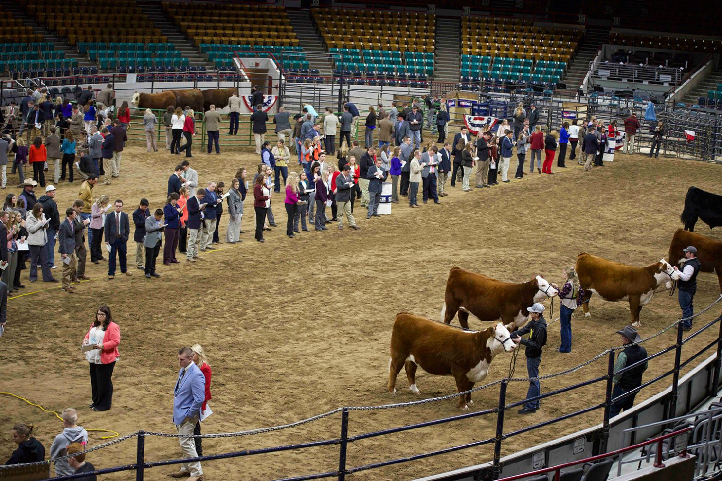 Livestock Shows - National Western Stock Show