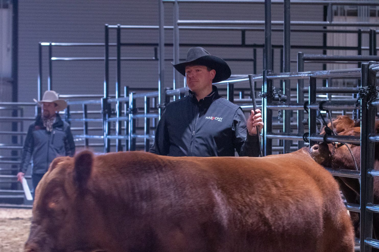 Red is the New Black - National Western Stock Show