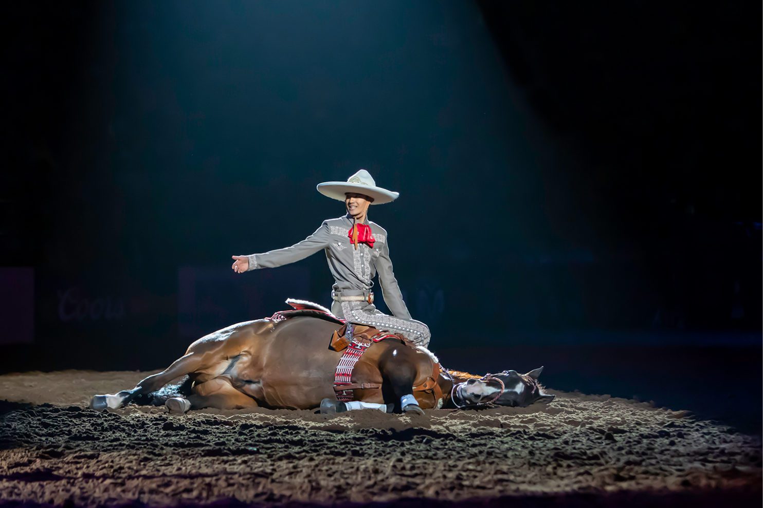 National Western Stock Show | There's No Place Like Stock Show, Denver ...