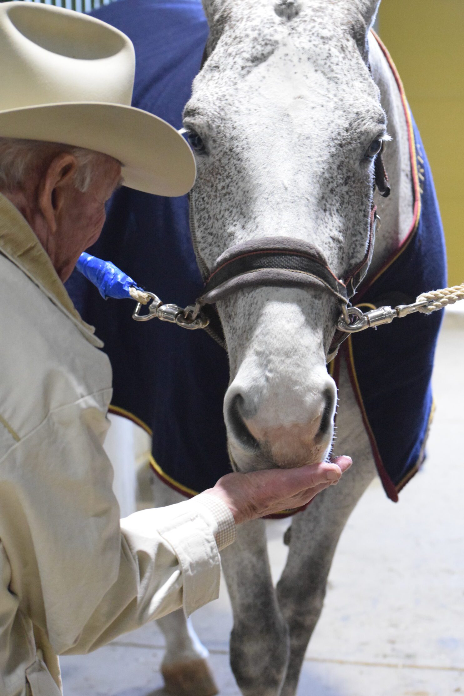 Meet Legendary Stock Show Veterinarian: Dr. Marvin Beeman - National ...