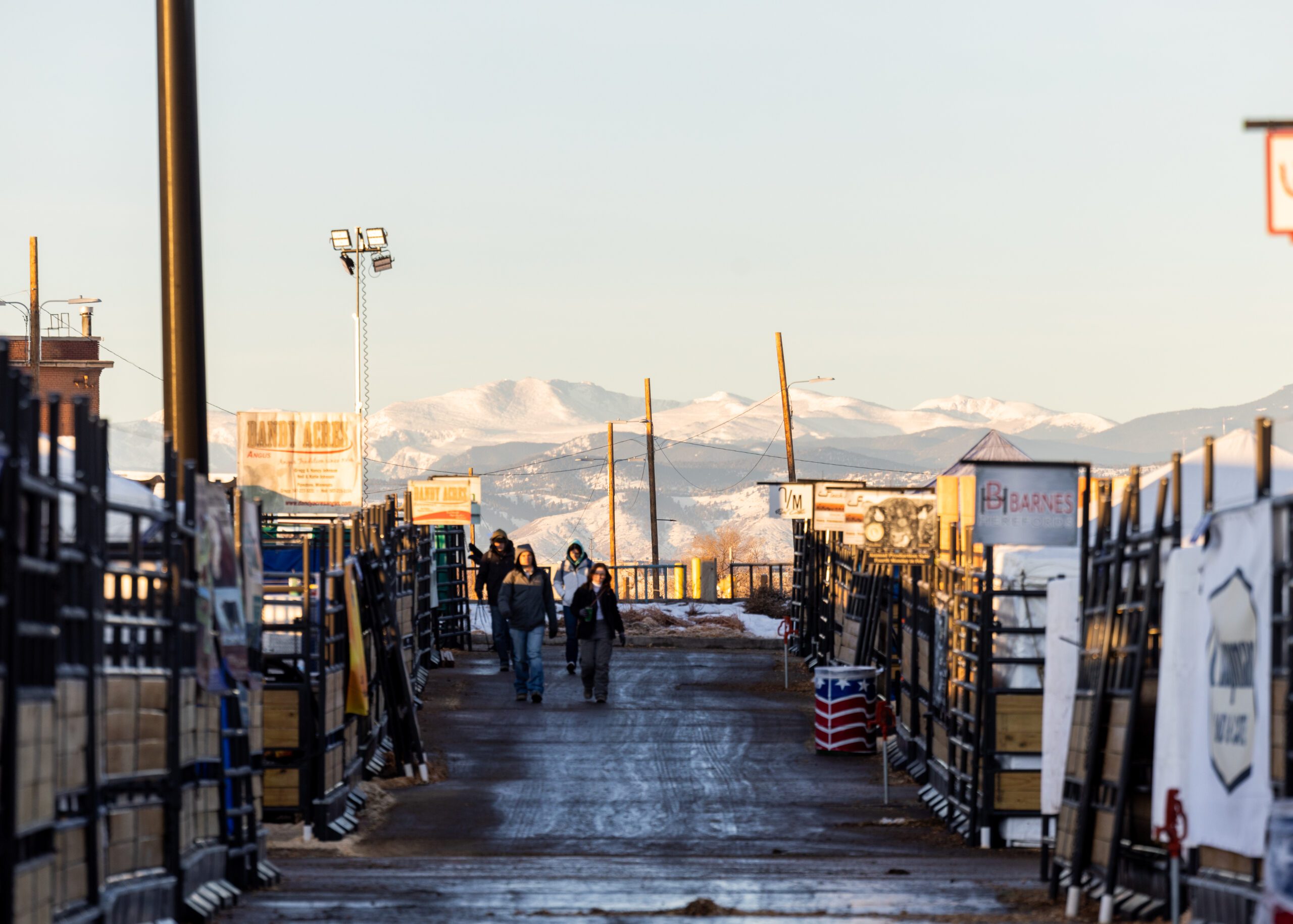 Livestock Shows - National Western Stock Show