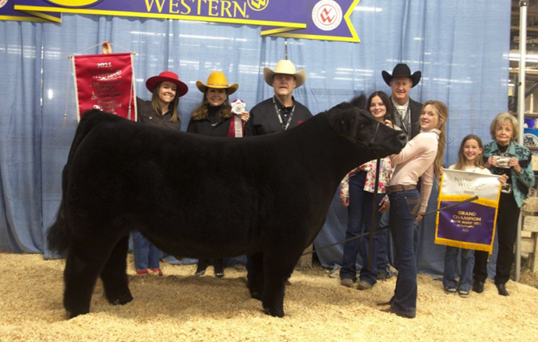 National Western Stock Show | Best 16 days in January, Denver Colorado