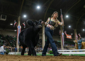 National Western Stock Show | Best 16 days in January, Denver Colorado