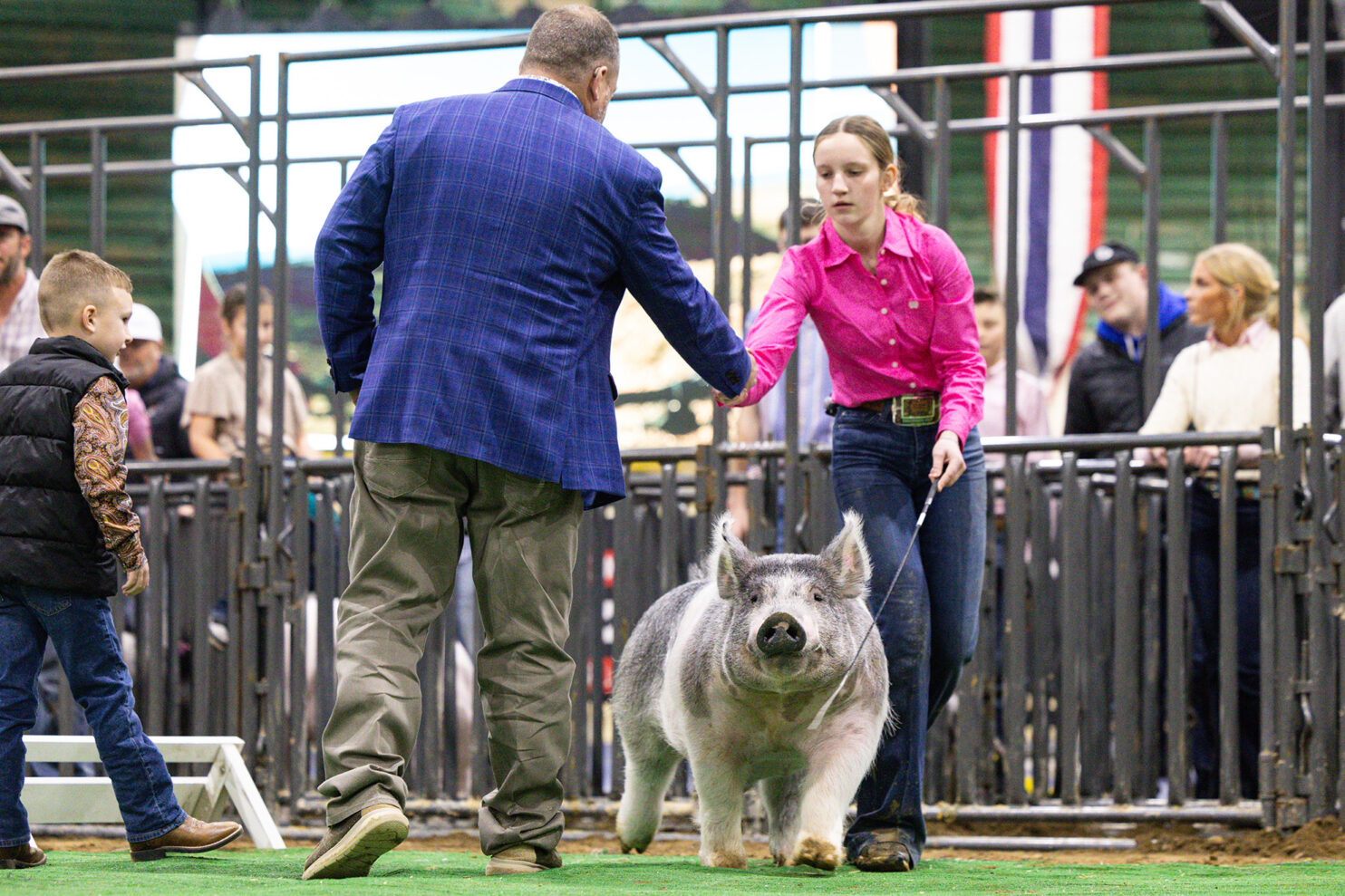 National Western Stock Show | Best 16 days in January, Denver Colorado