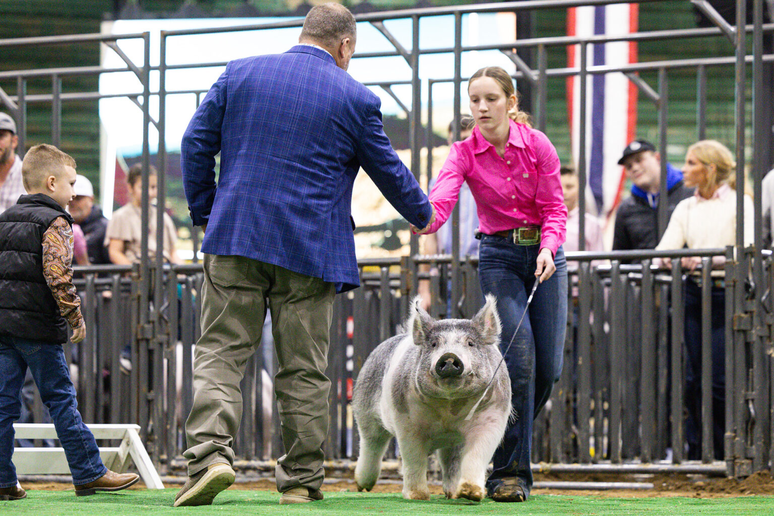 National Western Stock Show | Best 16 days in January, Denver Colorado