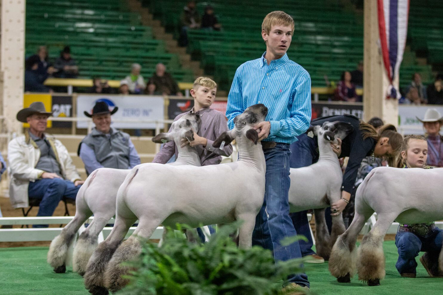 National Western Stock Show | Best 16 days in January, Denver Colorado