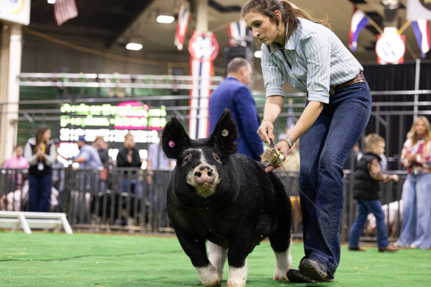 National Western Stock Show | Best 16 days in January, Denver Colorado
