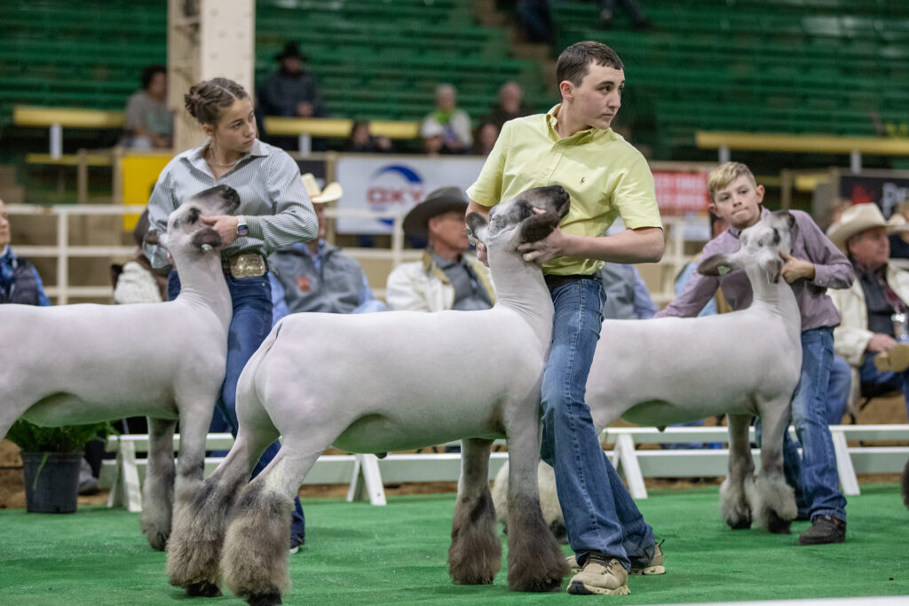 National Western Stock Show | Best 16 days in January, Denver Colorado